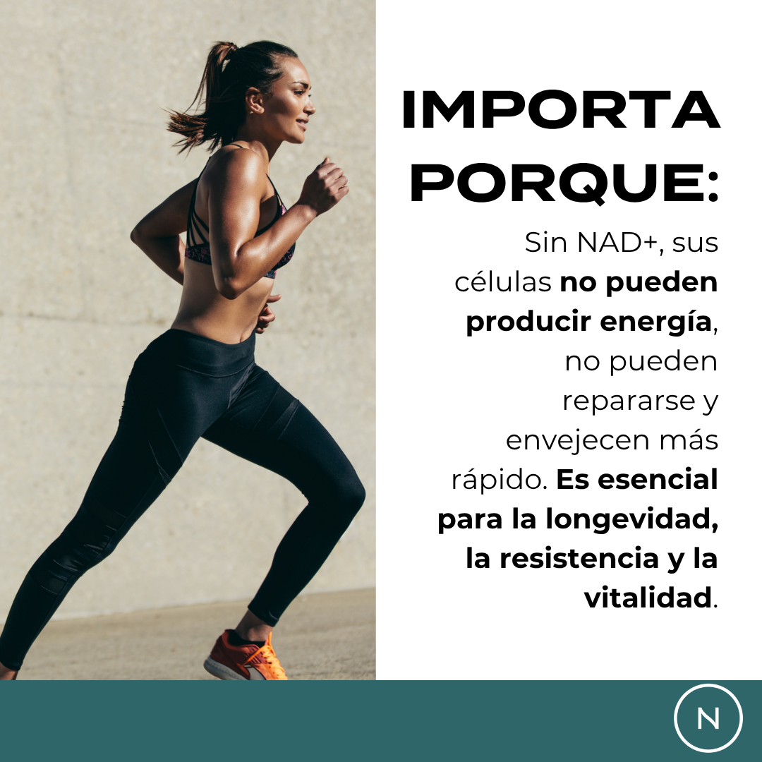 Beneficios del NMN: alimentos, efectos y suplementos | Naturecan MX – naturecan-mx